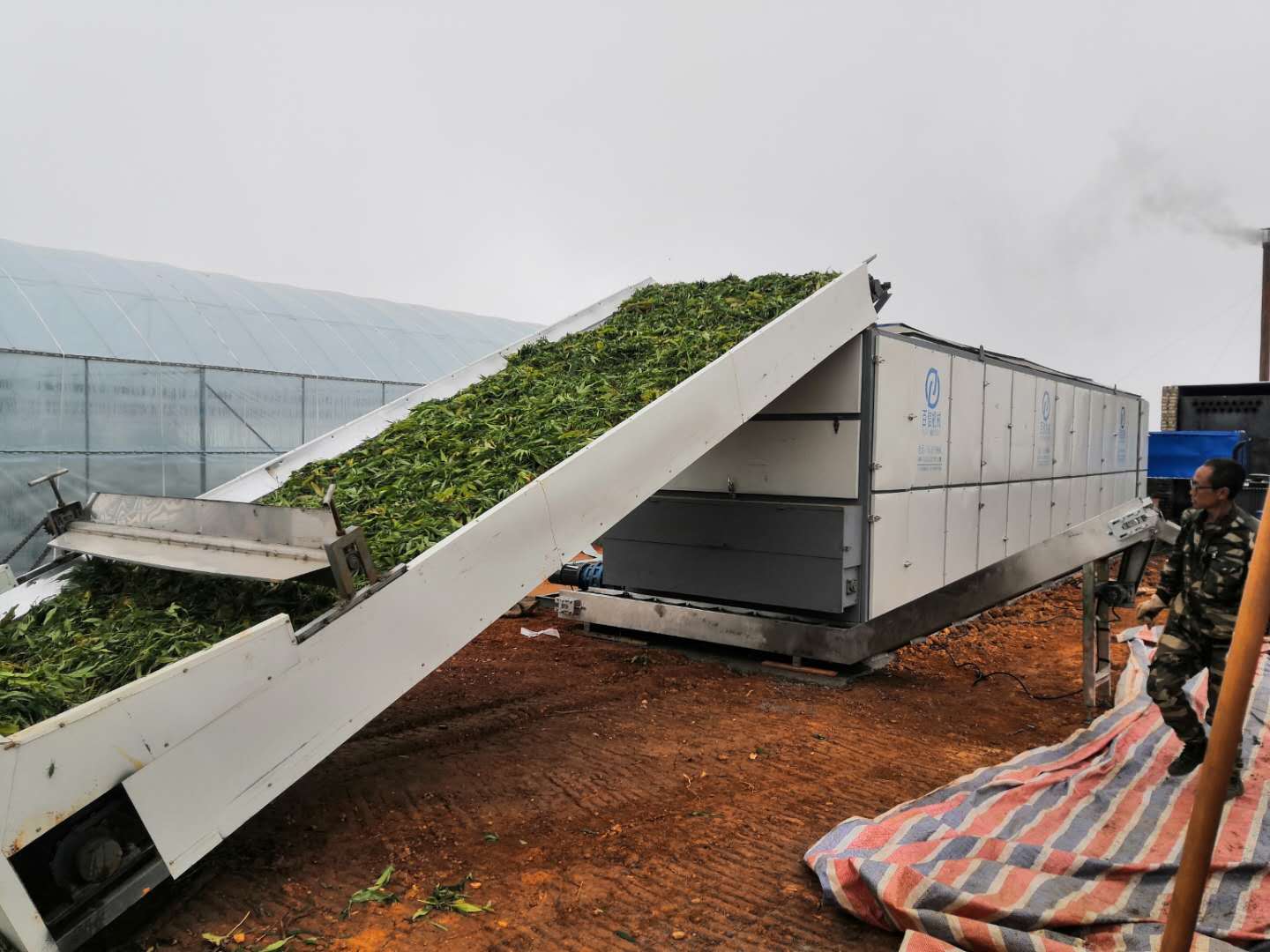 hemp dryer,hemp drying machine,hemp dryer machine